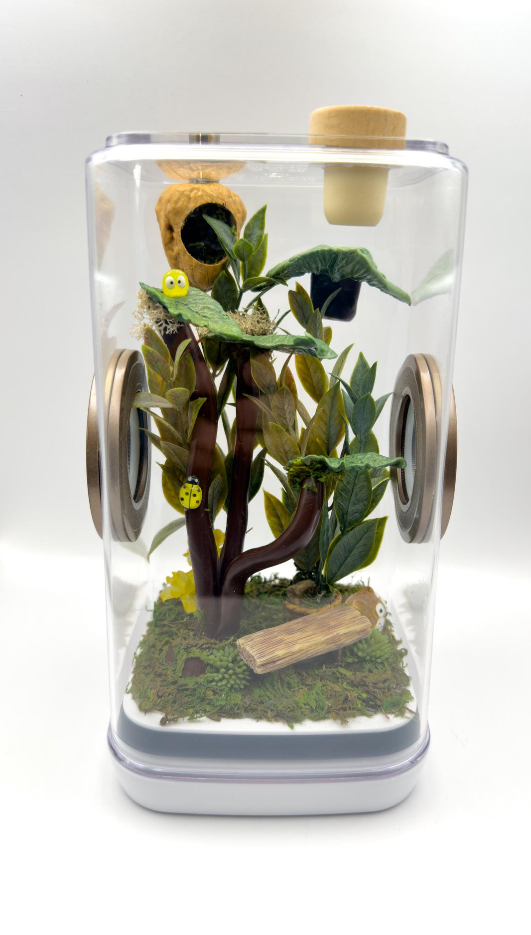 Jumping Spider Enclosures – RaCoe Designs