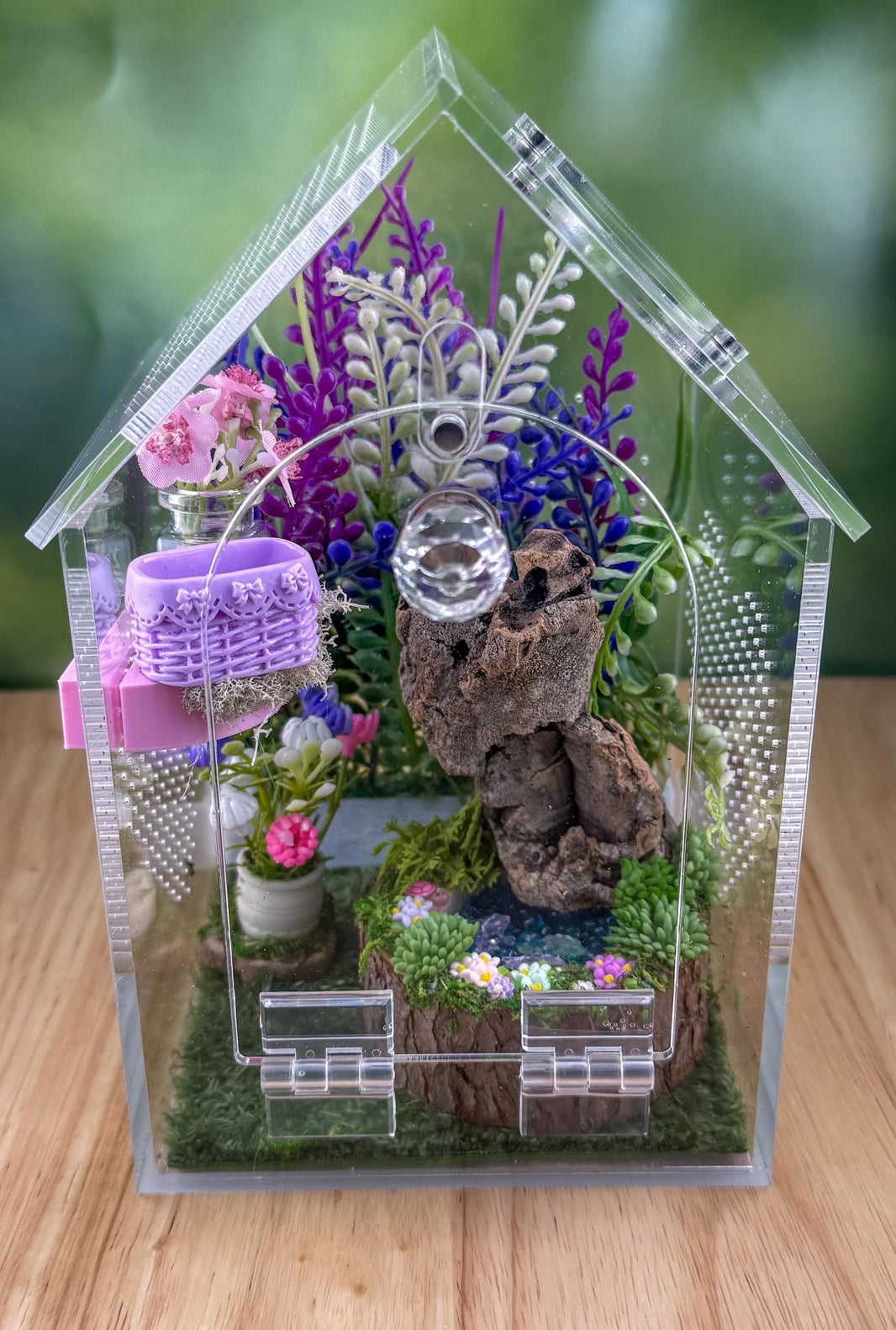 Jumping Spider Enclosures – RaCoe Designs